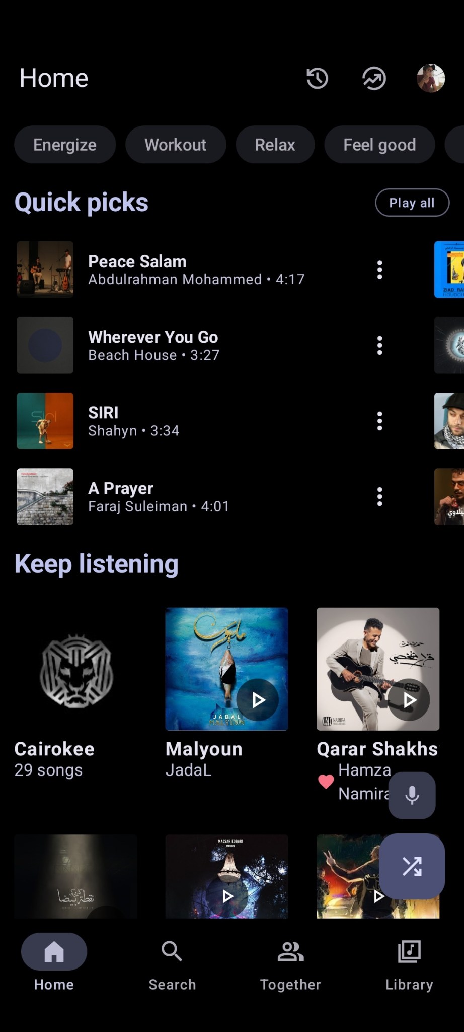 Metrolist ~ Android YouTube Music Client | The Audio File